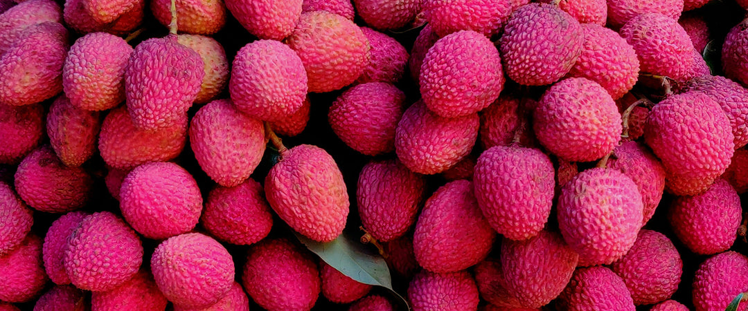 Savor the Symphony: Exploring the World of Flavored Sake – Spirited Brands