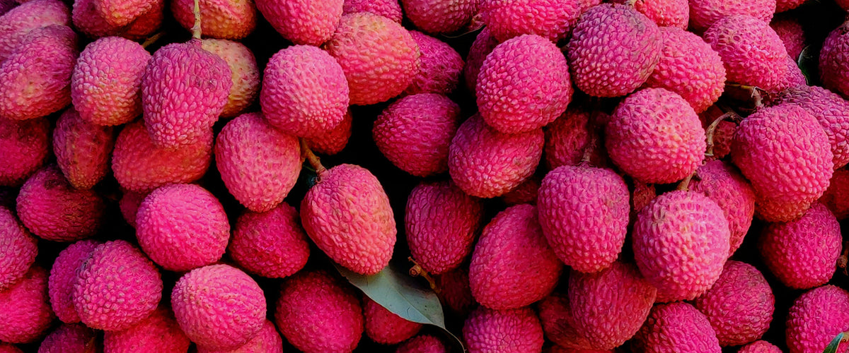 Savor the Symphony: Exploring the World of Flavored Sake – Spirited Brands